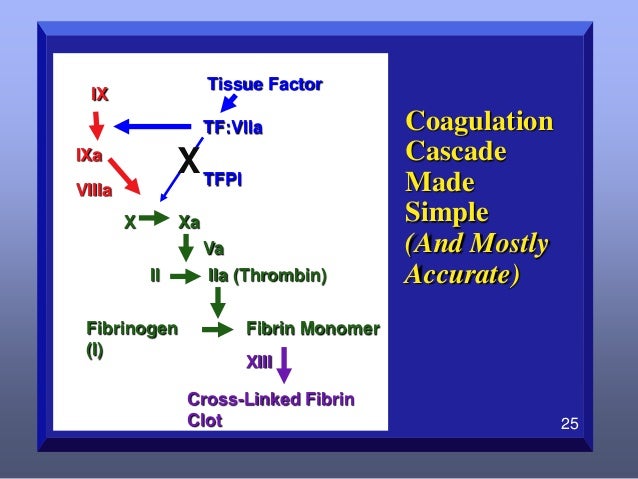 Review of the coagulation system