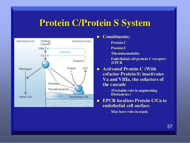 Review of the coagulation system