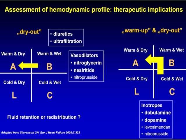 Review of the esc ahf guidelines