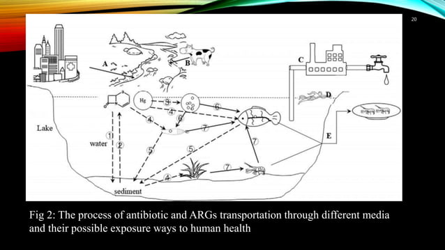 Review on AMR in fish | PPTX | Chemistry | Science
