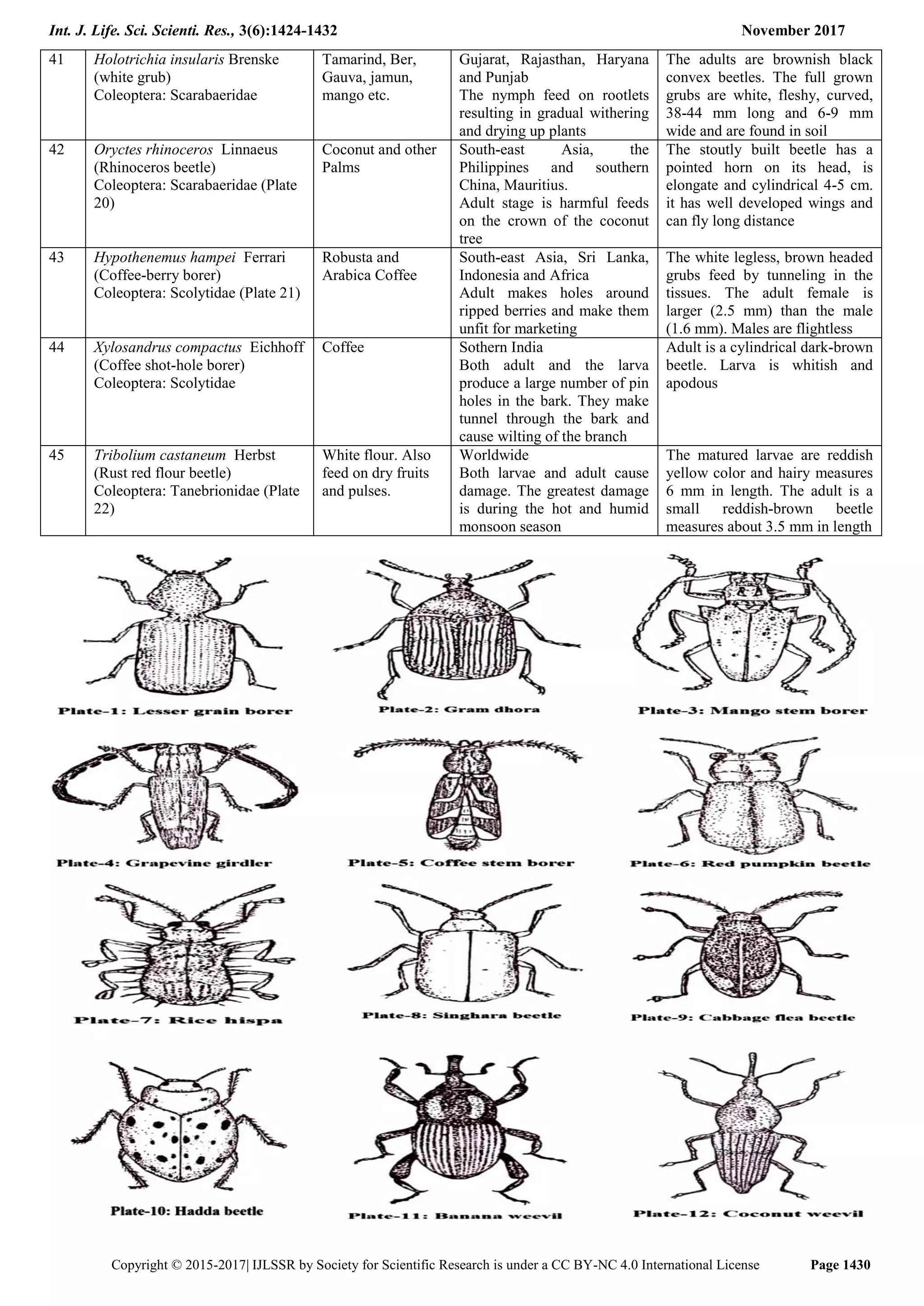 Review on Beetles (Coleopteran): An Agricultural Major Crop Pests of ...