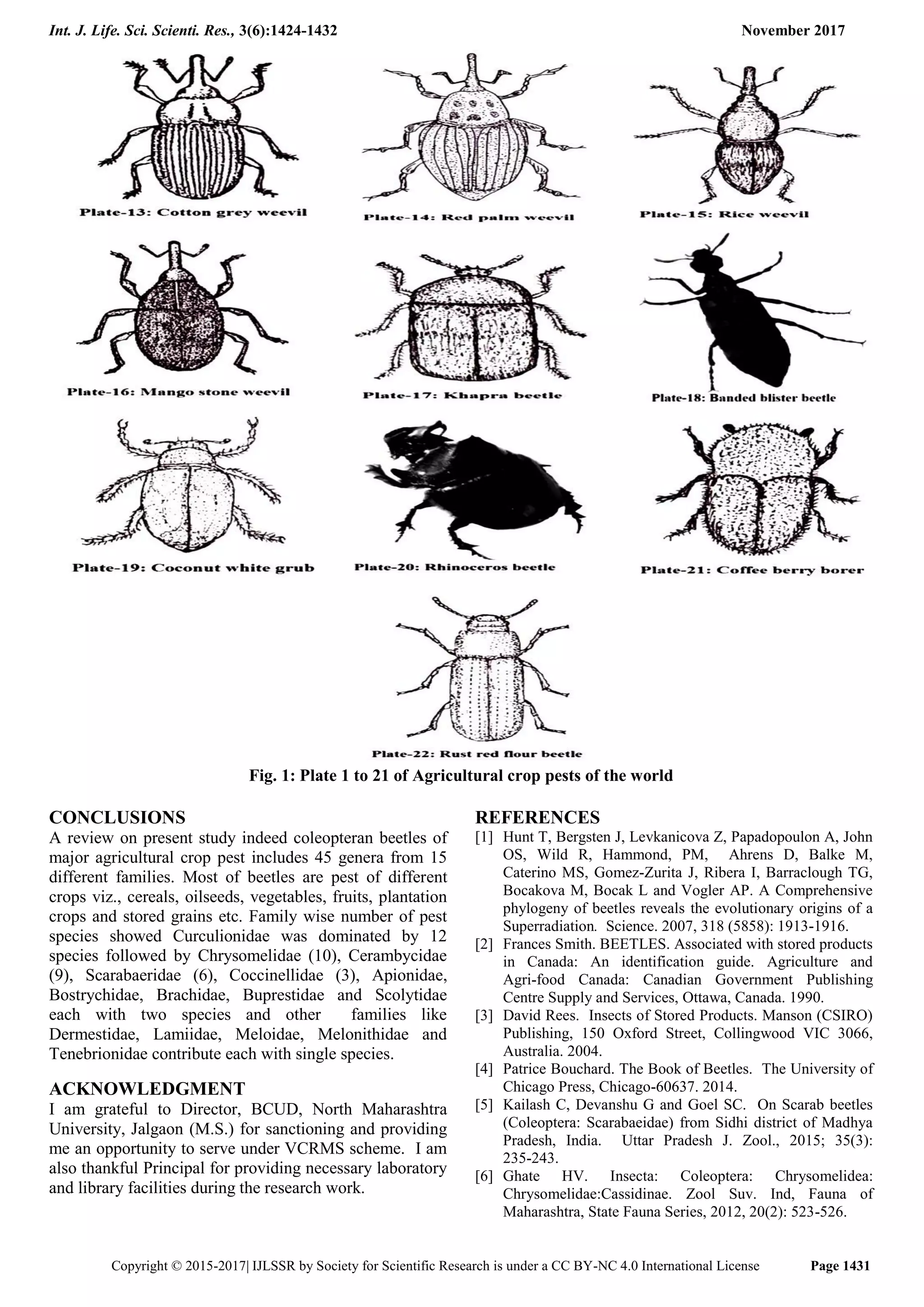 Review on Beetles (Coleopteran): An Agricultural Major Crop Pests of ...