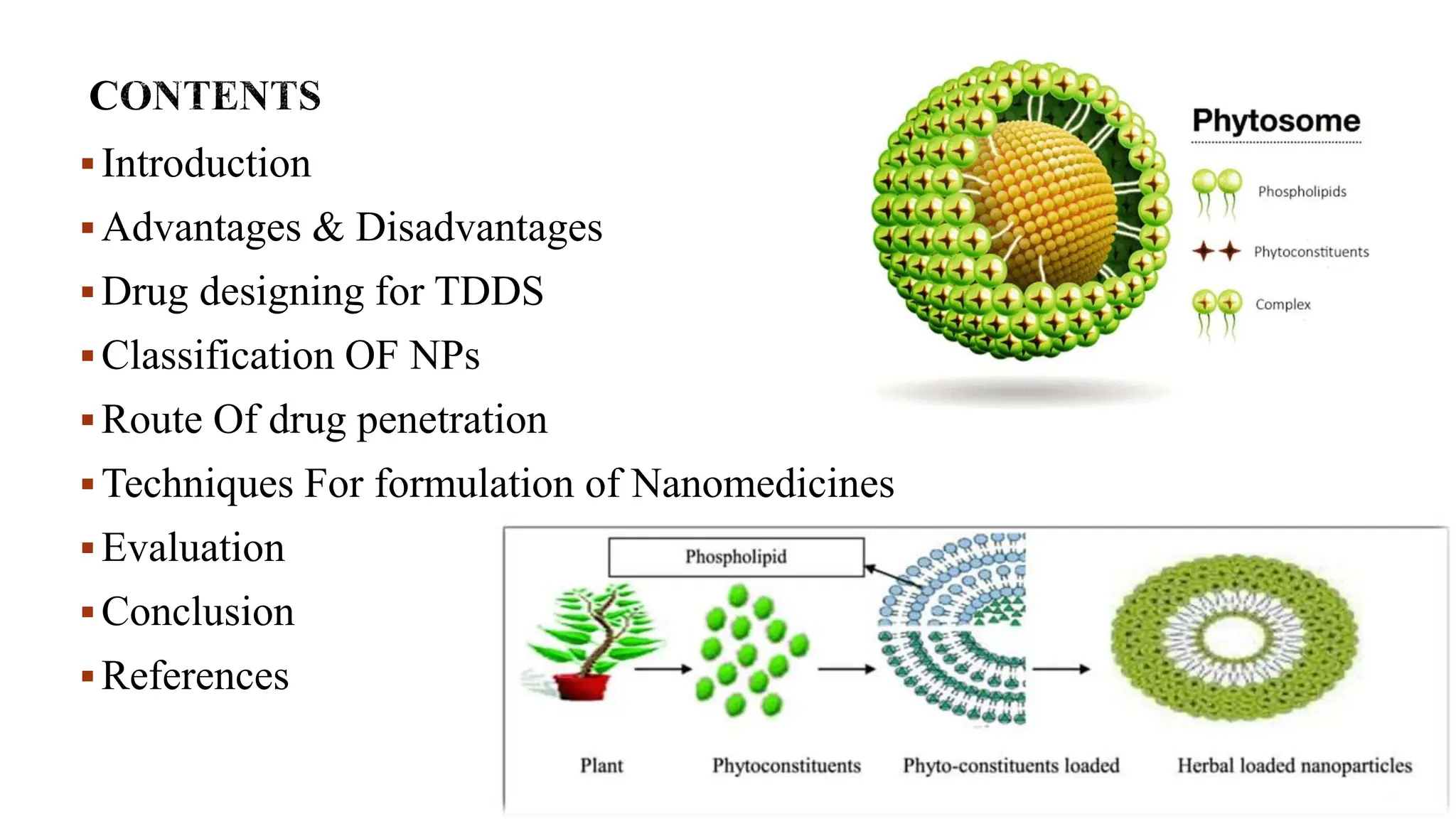 Review on Herbal Nanoformulation for Topical Drug Delivery System.pptx