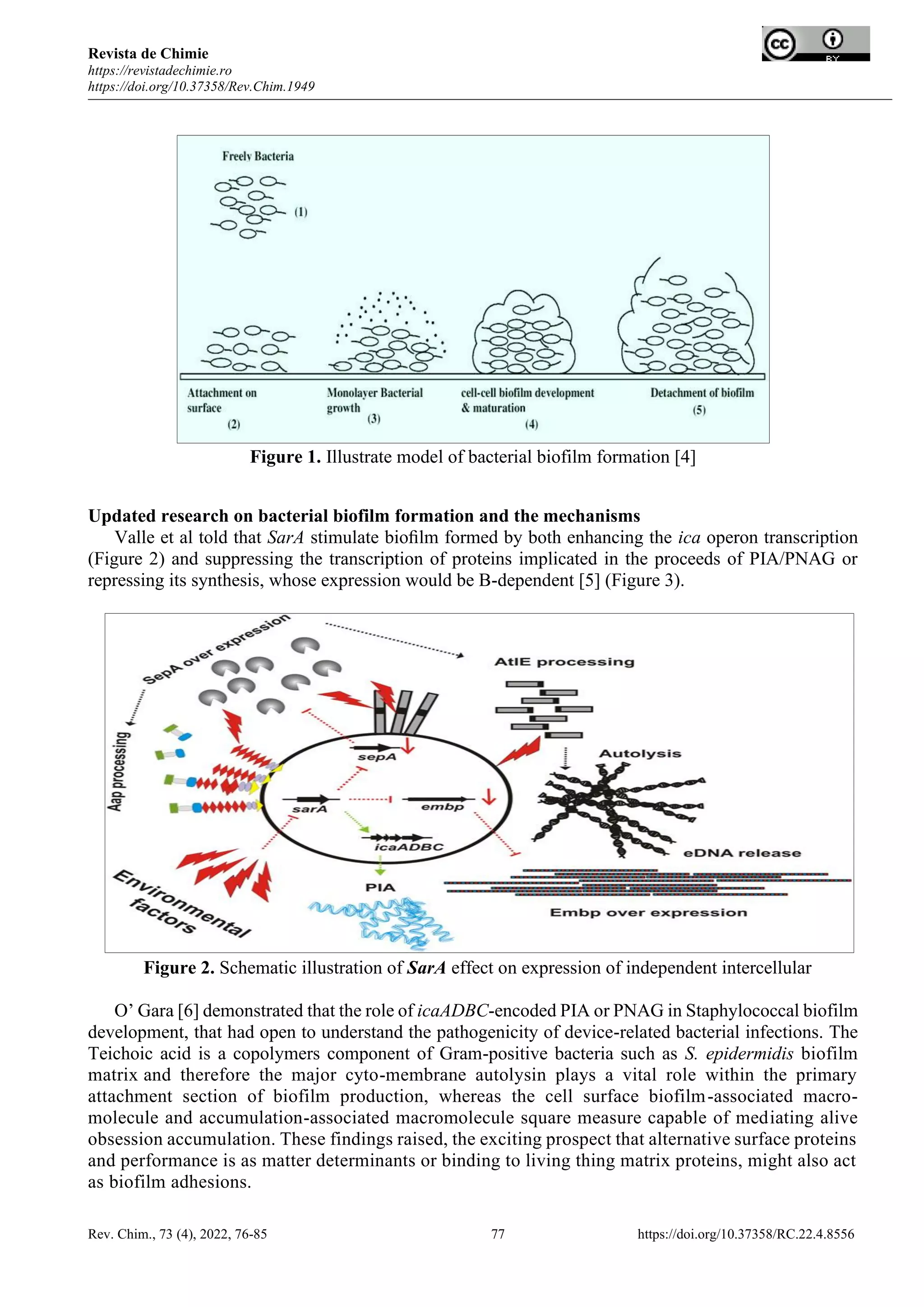 Review on Molecular Crosstalk of Biofilm Producing Mechanisms of Staphylococcus aureus.pdf ...