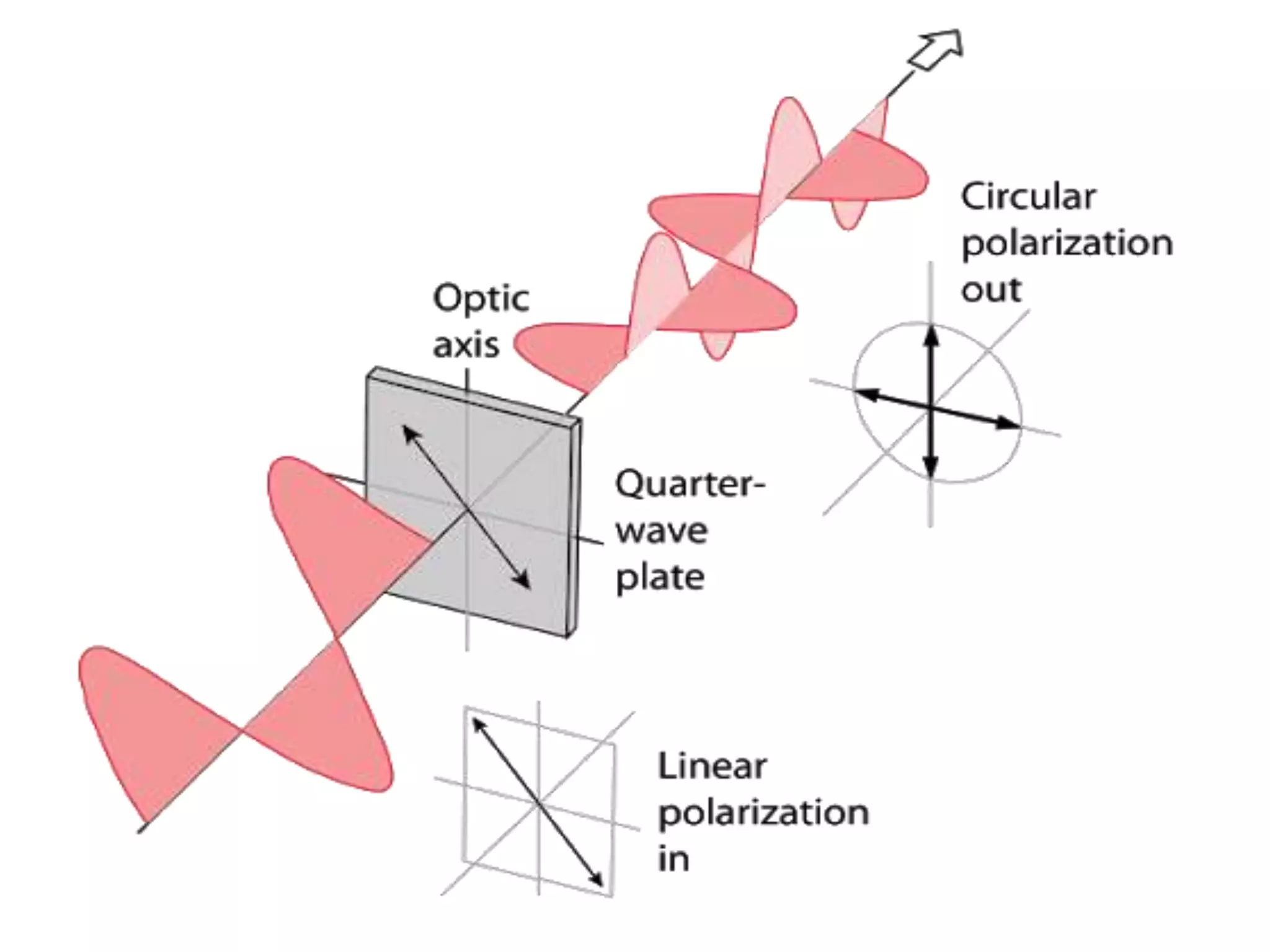 polarization of light | PPTX