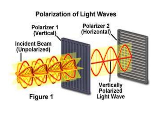 polarization of light | PPTX