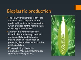 Applications of halophilic organisms .pptx