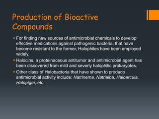 Applications of halophilic organisms .pptx