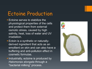 Applications of halophilic organisms .pptx
