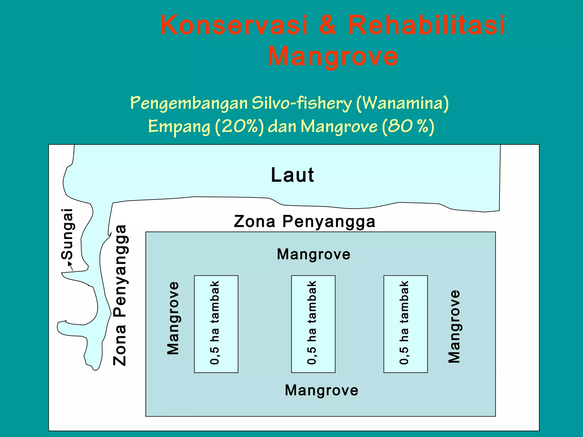 Review pesisir dan laut | PPT