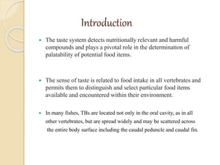 Taste System in Fishes | PPT