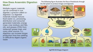 Anaerobic digestion of organic fraction of municipal solid waste | PPTX