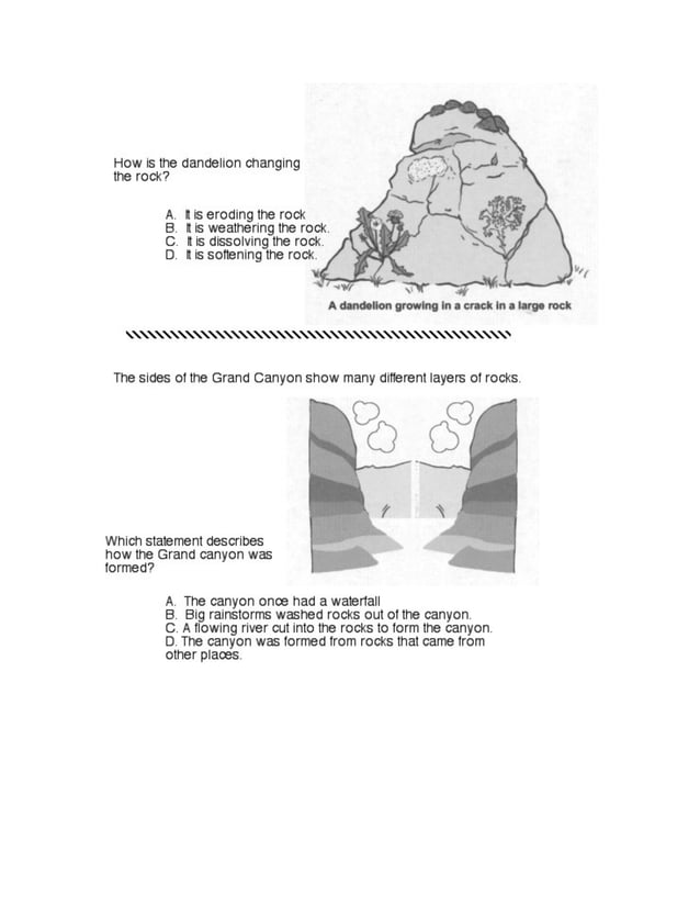 Elementary science (Review questions) | PDF