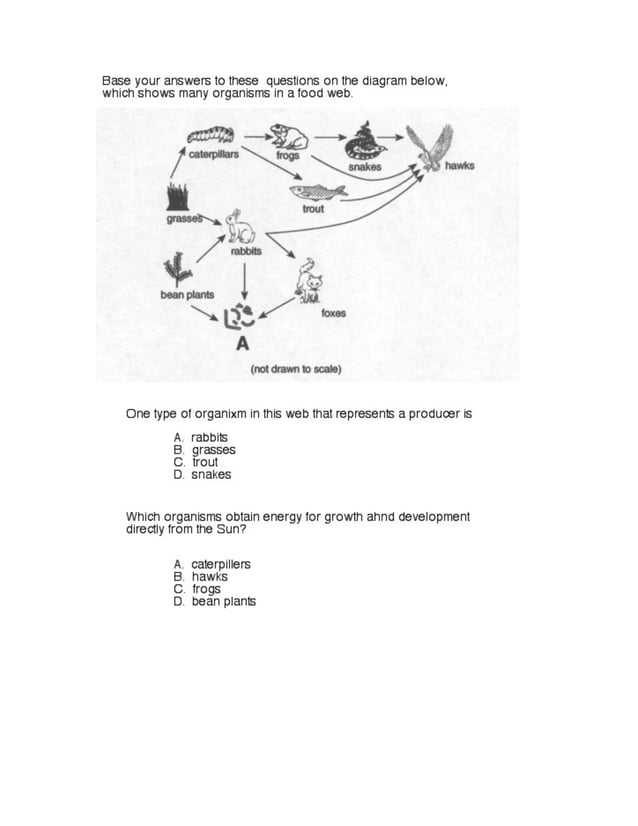 Elementary science (Review questions) | PDF