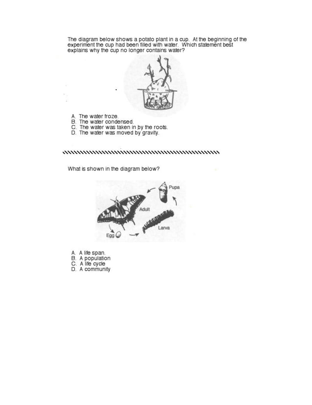 Elementary science (Review questions) | PDF