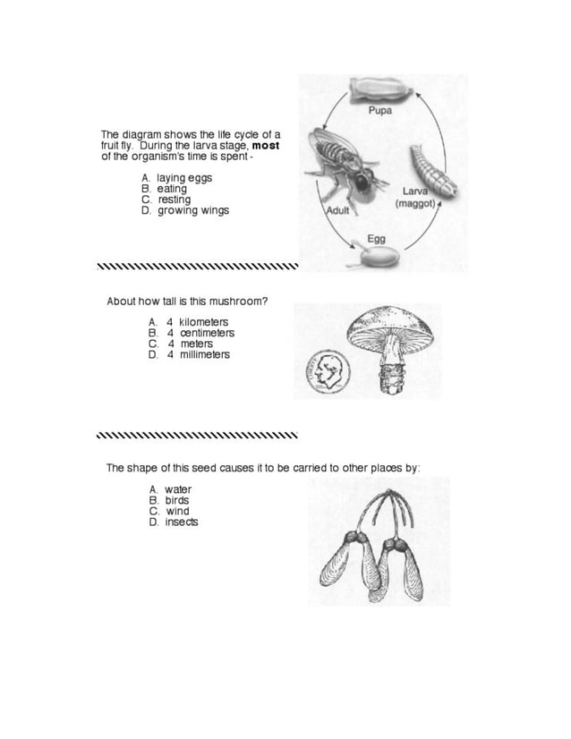 Elementary science (Review questions) | PDF