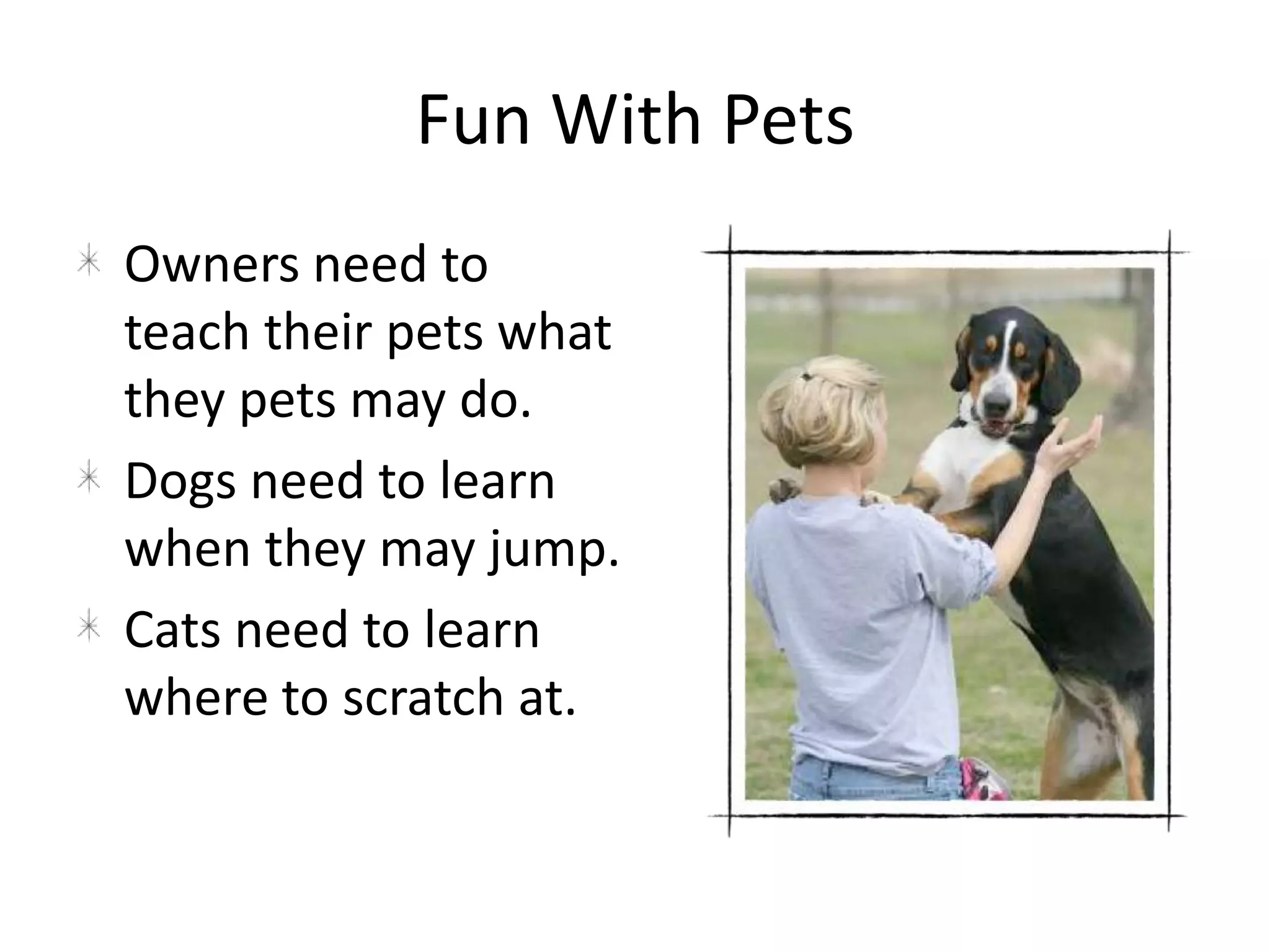 Quick Reads: Pets | PPTX