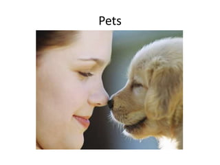 Quick Reads: Pets | PPTX