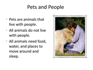 Quick Reads: Pets | PPTX