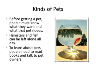 Quick Reads: Pets | PPTX