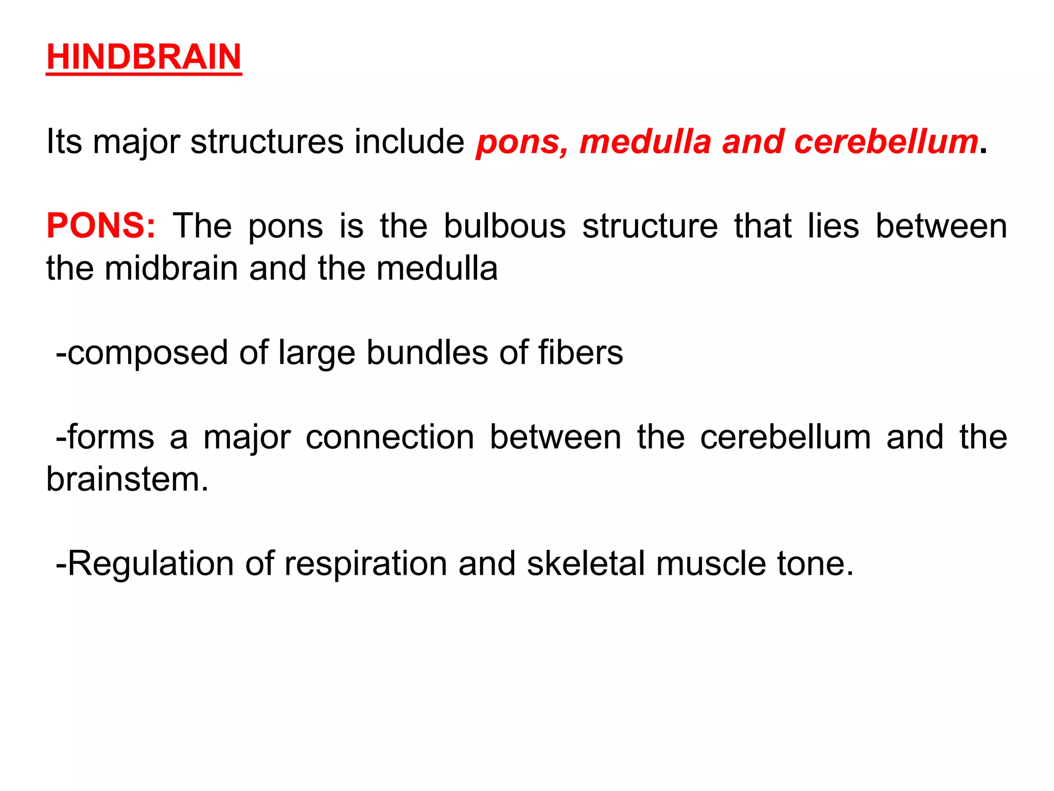 Review structure and function of brain, limbic system, ubnormal ...