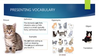 Review teaching vocabulary | PPTX | Cats | Pets