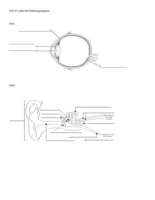Review test in science | DOCX
