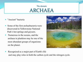 REVIEW THE STATUS OF GENOME ANALYSIS OF CULTURED ARCHAEA | PPTX