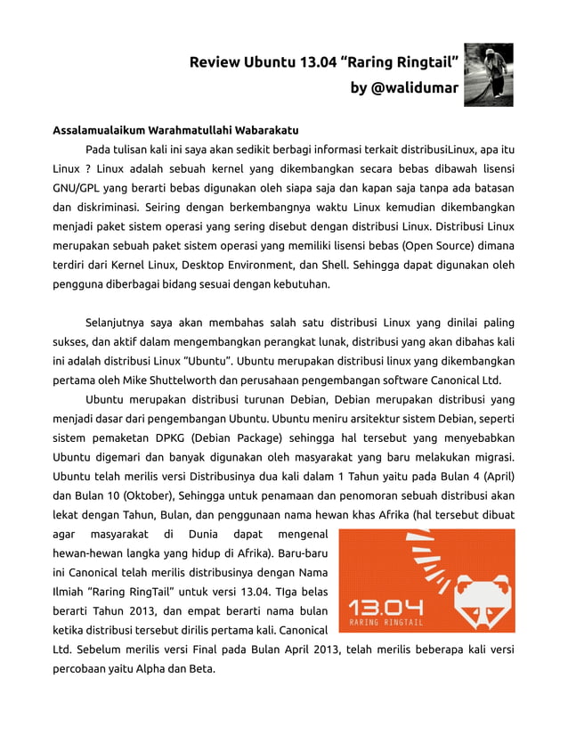 Review ubuntu 13.04