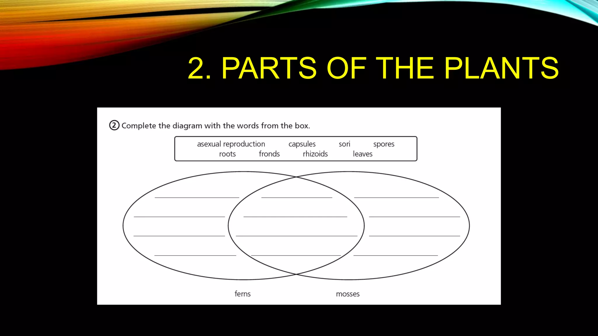 Review unit 4 Plant kingdom | PPTX