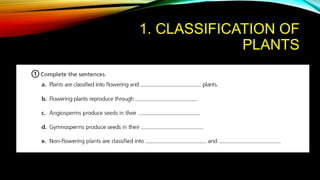 Review unit 4 Plant kingdom | PPT