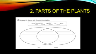 Review unit 4 Plant kingdom | PPT
