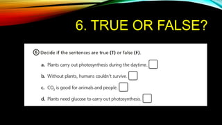 Review unit 4 Plant kingdom | PPTX