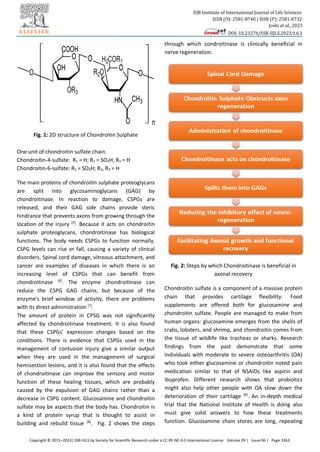 Review_Various_Types_Routes_Administration_Chondroitinase_Enzymes.pdf