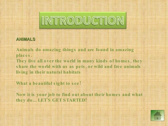 animal webquest | PPT