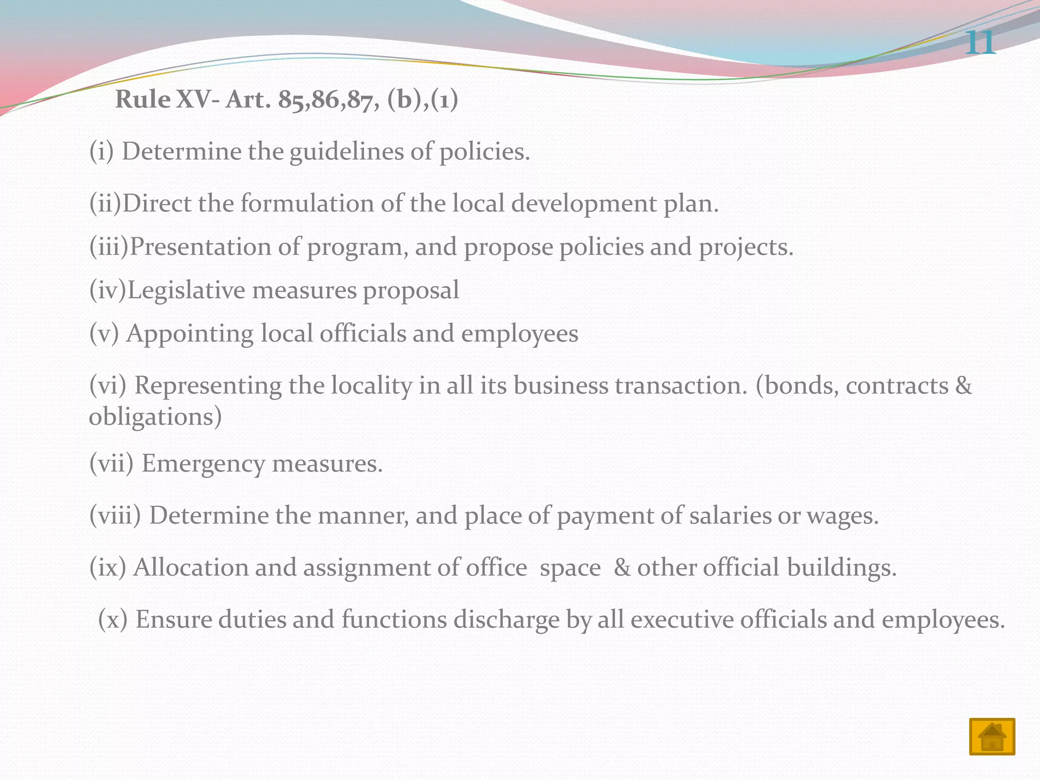 Local Chief Executives | PPTX