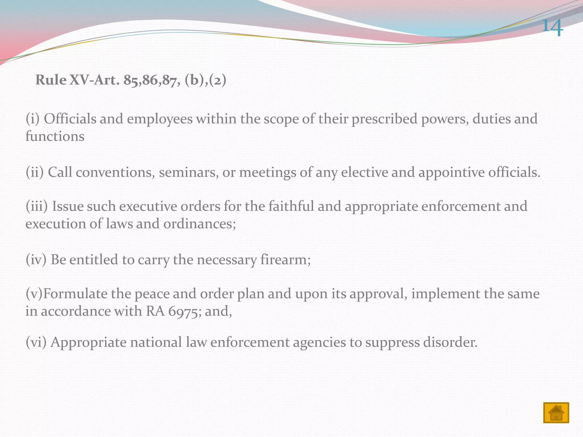 Local Chief Executives | PPTX