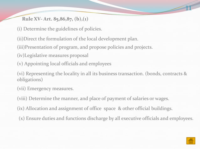 Local Chief Executives | PPTX | Law