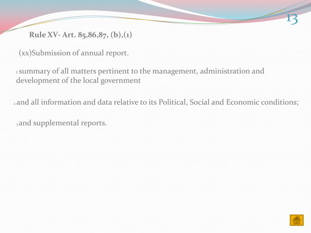 Local Chief Executives | PPTX | Law