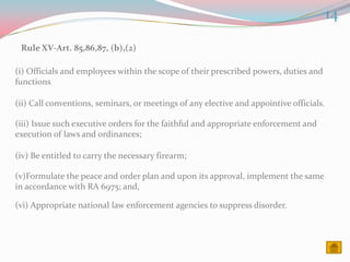 Local Chief Executives | PPTX