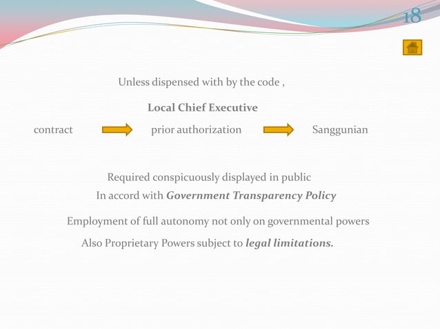 Local Chief Executives | PPTX | Law