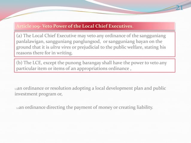 Local Chief Executives | PPTX | Law