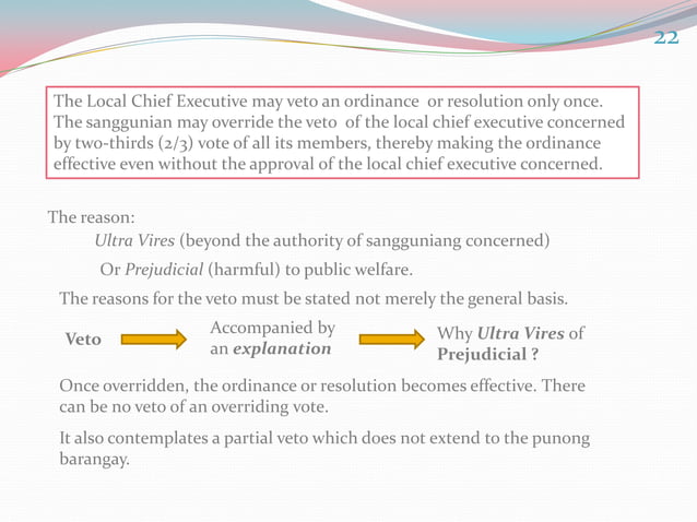 Local Chief Executives | PPTX | Law