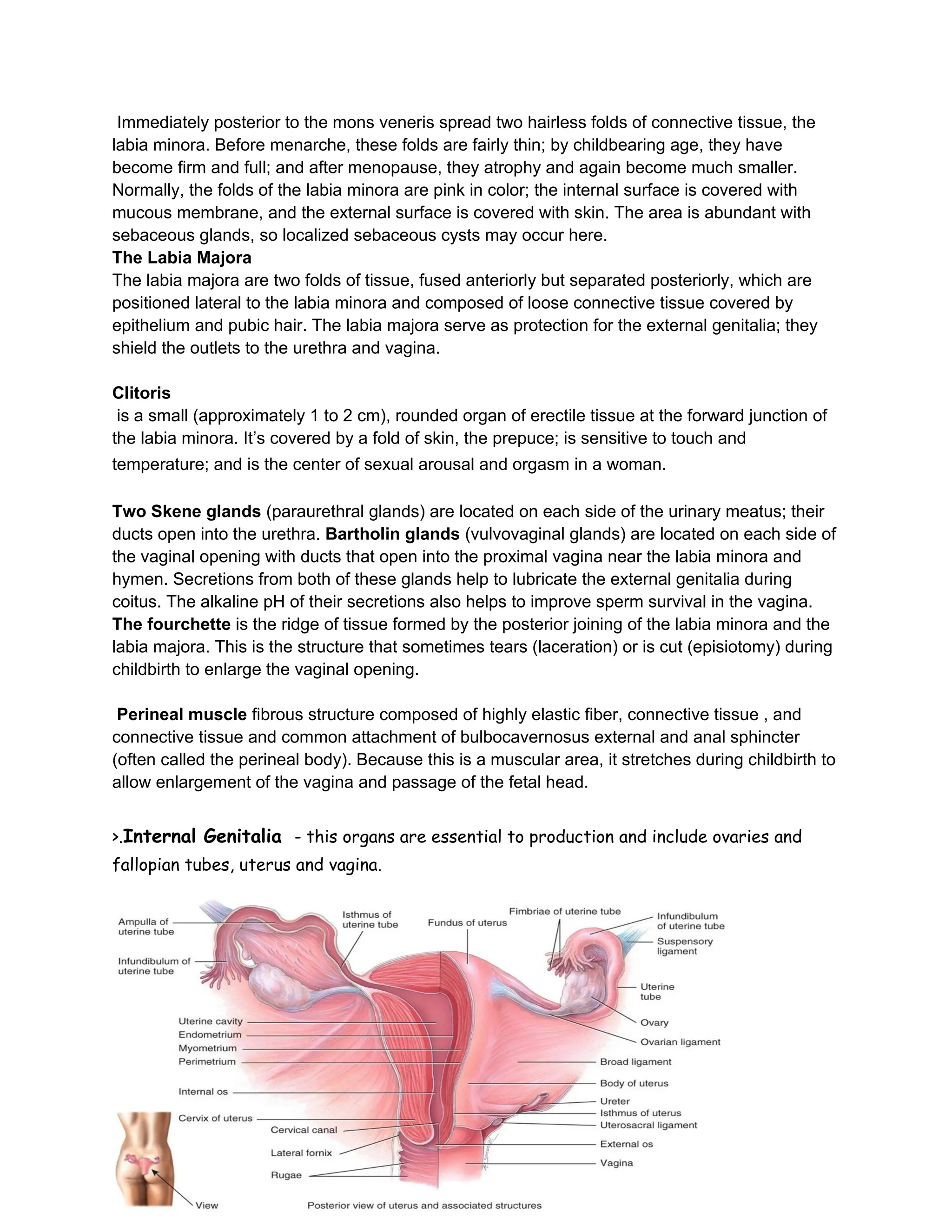 Revised-Anatomy-and-Physiology-of-Female-Reproductive-System.docx