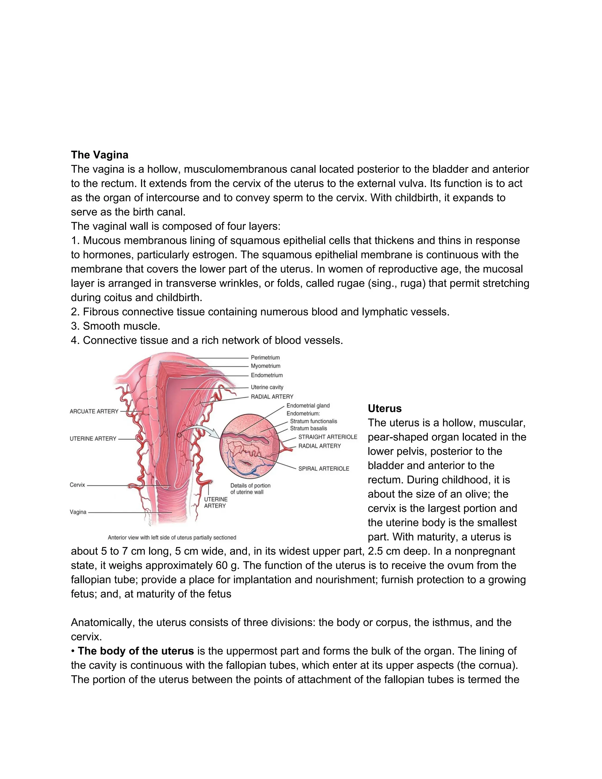 Revised-Anatomy-and-Physiology-of-Female-Reproductive-System.docx