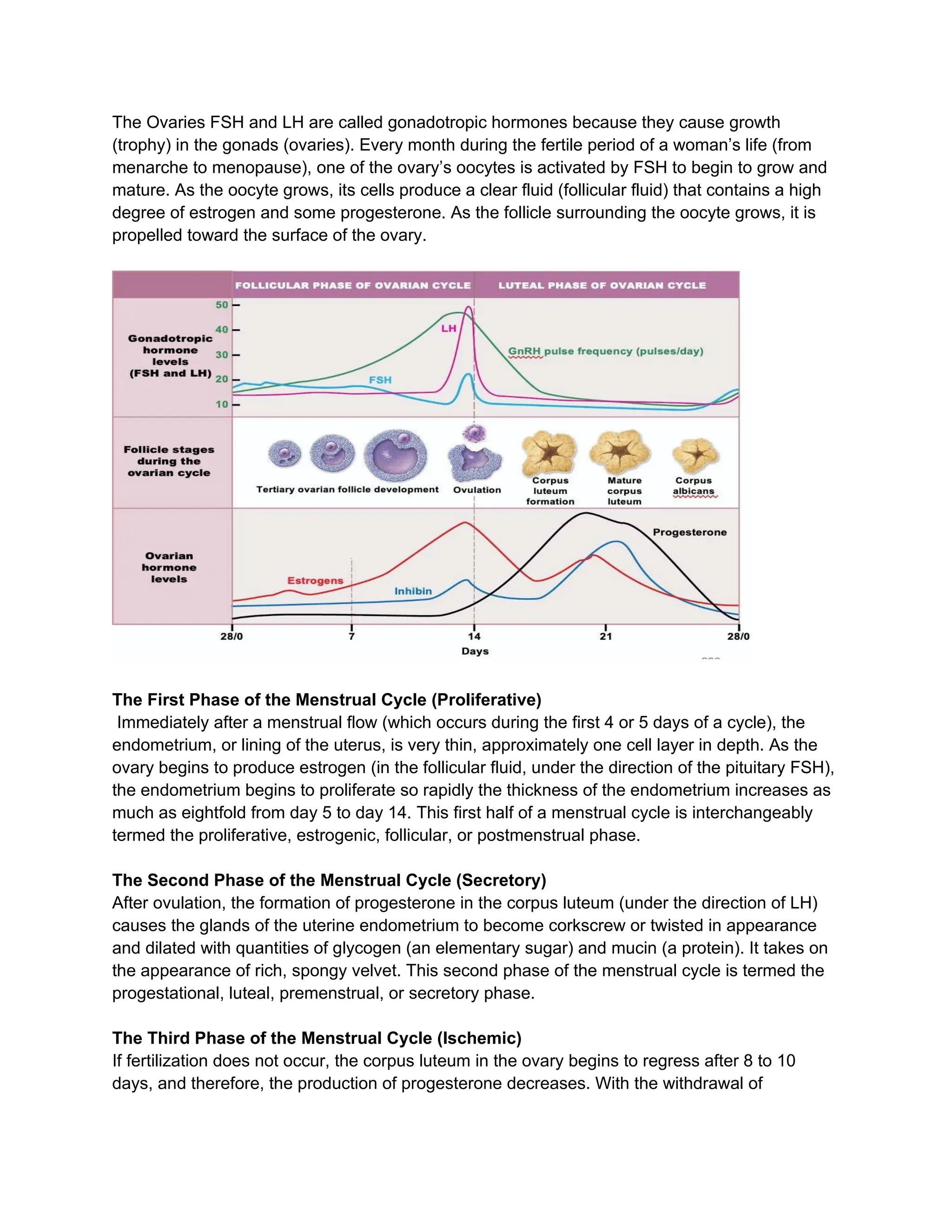 Revised-Anatomy-and-Physiology-of-Female-Reproductive-System.docx