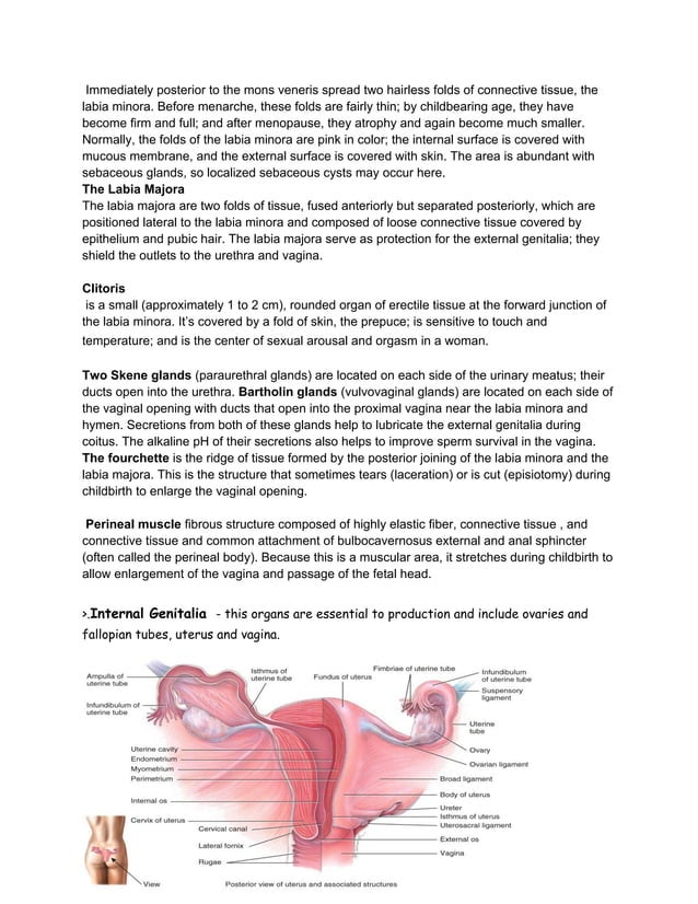 Revised-Anatomy-and-Physiology-of-Female-Reproductive-System.docx