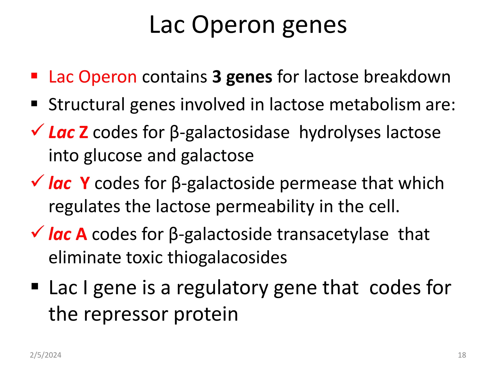 REVISED- Gene Regulation in prokaryotic.pdf