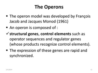 REVISED- Gene Regulation in prokaryotic.pdf