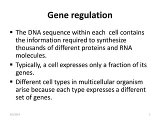 REVISED- Gene Regulation in prokaryotic.pdf